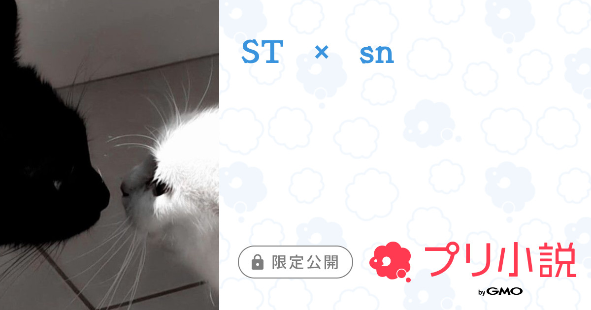 ST × sn - 【連載中】（ 水瀬さんの小説） | 無料スマホ夢小説ならプリ小説 byGMO